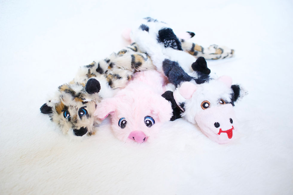 ALL PIGGY PRODUCTS | Bitty Kitty Pet Shop