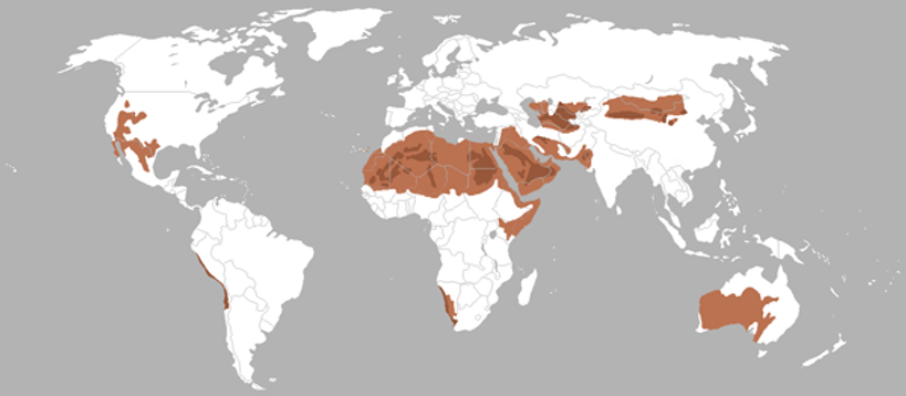CUR2 - 17 - Desierto de Chihuahua | geowachstum