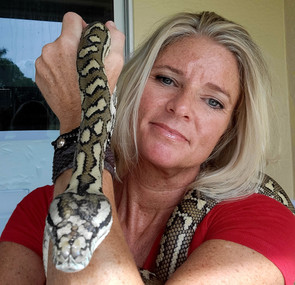 Gallery of Python Catches - Python Hunter | Python Huntress | Amy Siewe