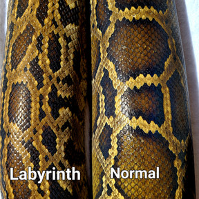 Gallery of Python Catches - Python Hunter | Python Huntress | Amy Siewe