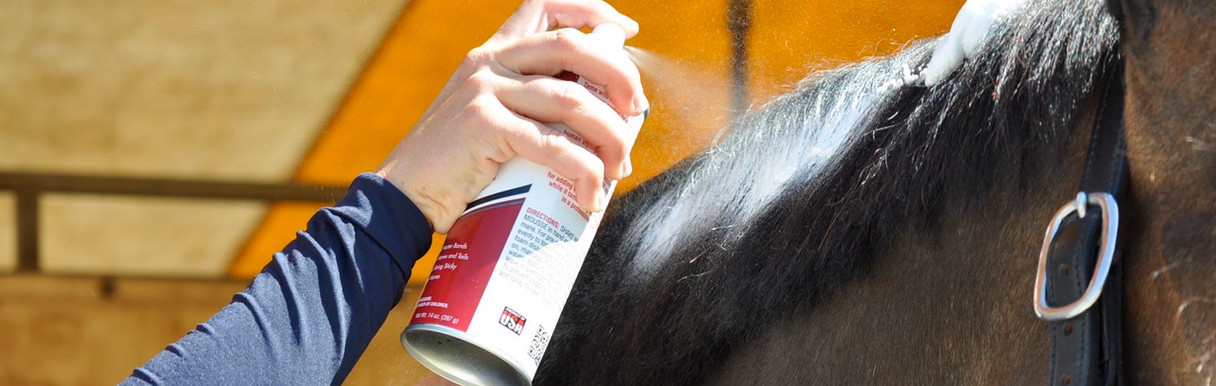 Grooming | Shapley's