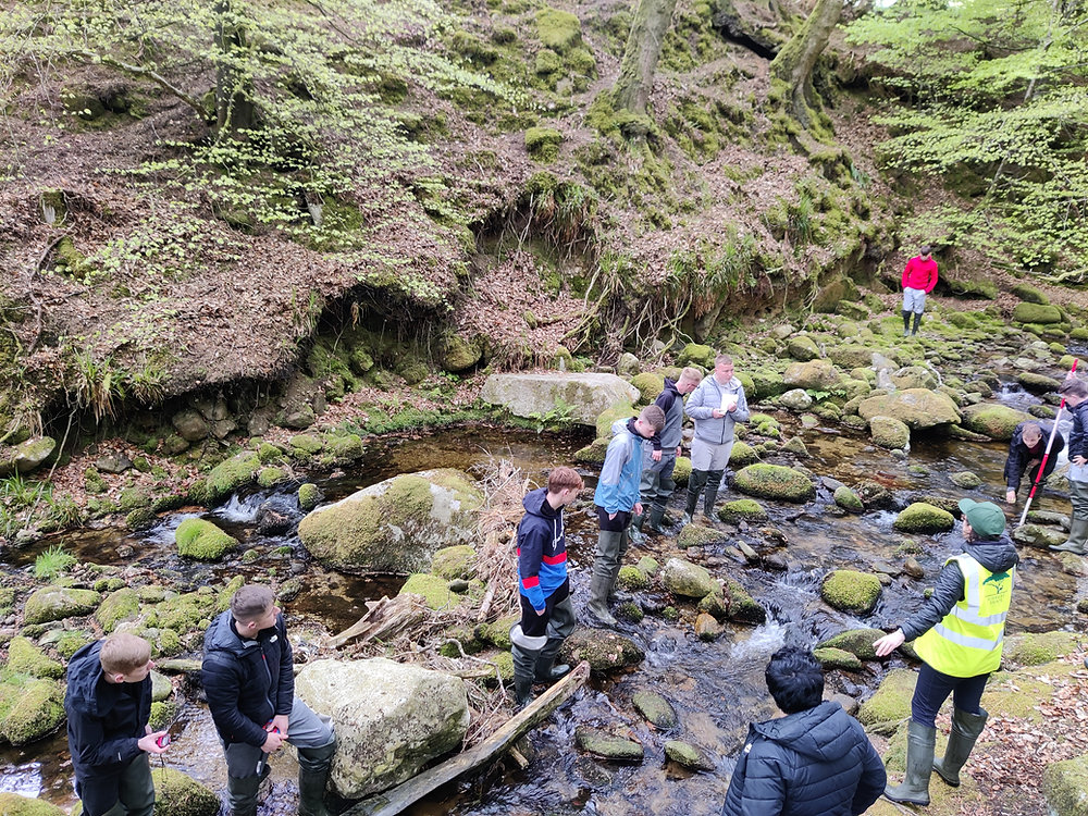 Geography Field Study