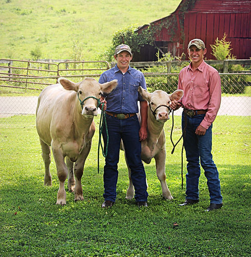 Home | TN Cattlemen's Assoc