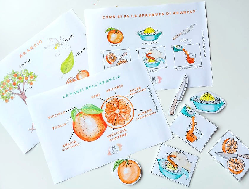 Conoscere l'Arancia
