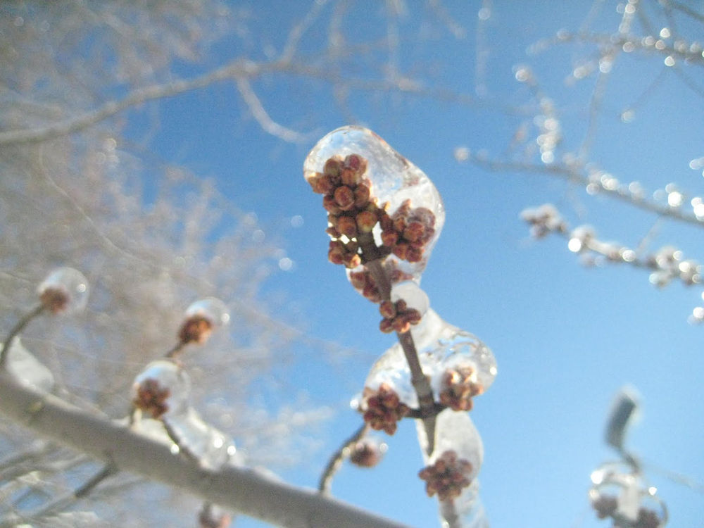Comment se manifeste le verglas