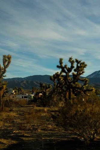 Nature | Vesper Design