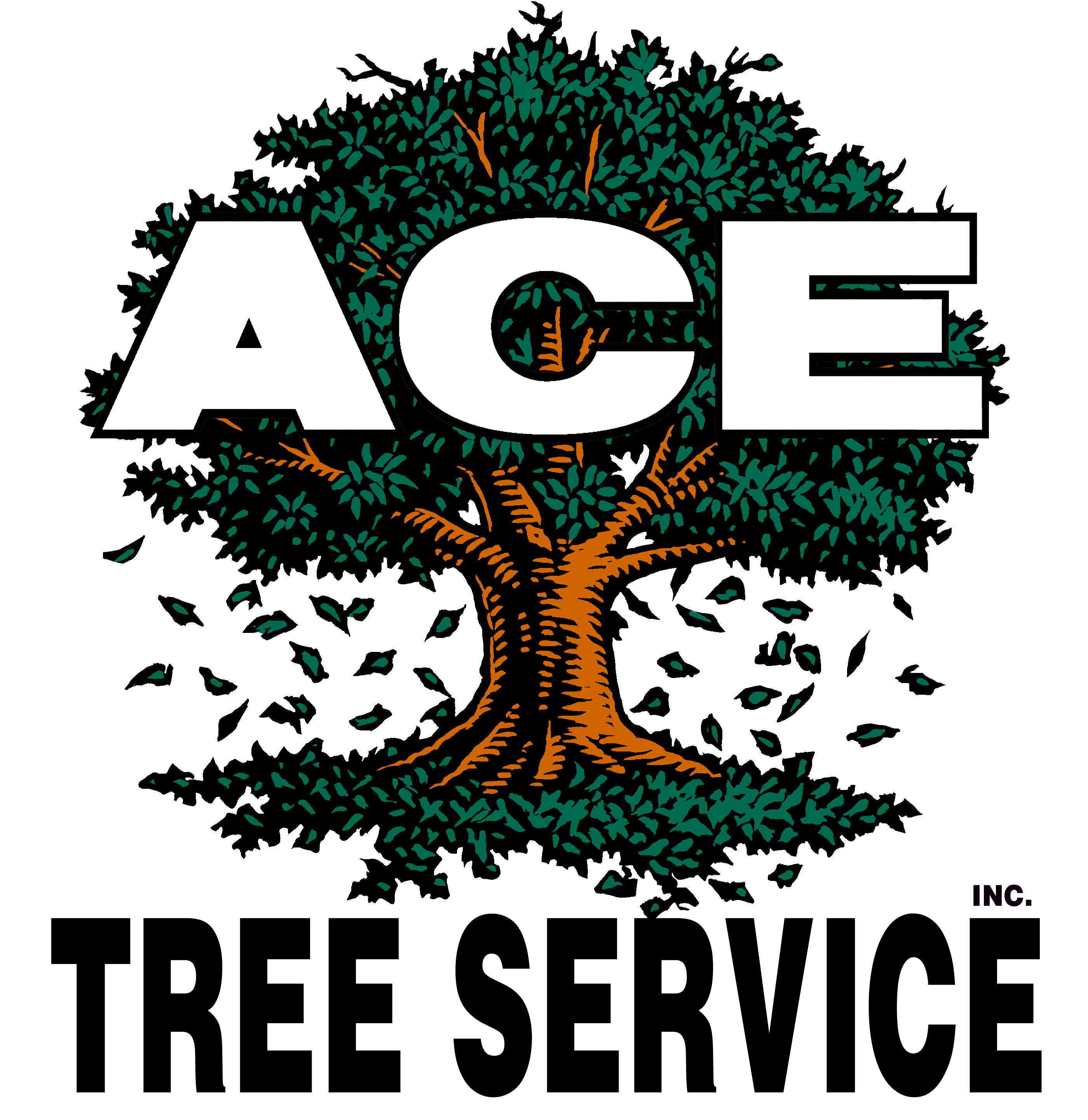 Tree Service Quad Cities | Bettendorf | Ace Tree Service