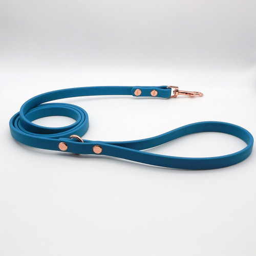 Teal Biothane Lead | Zande Dog