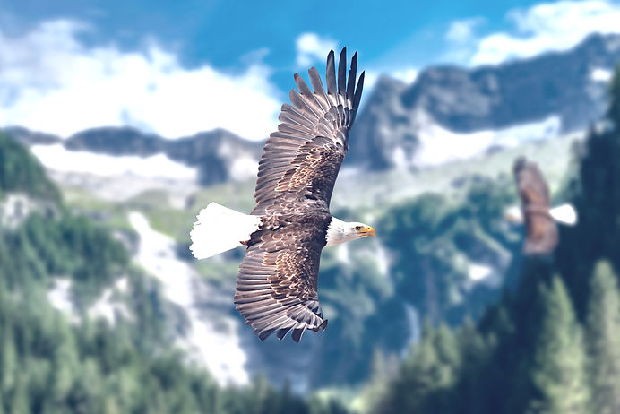 Sarasota County General Jural Assembly | Sarasota county | Englewood ...