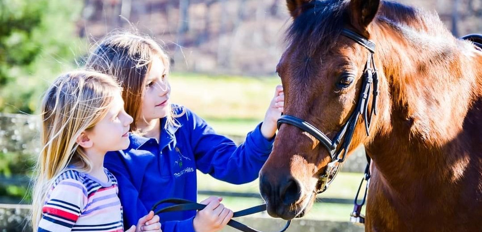 Equestrian Lessons | Thousand Hills Riding Stables | Delaplane