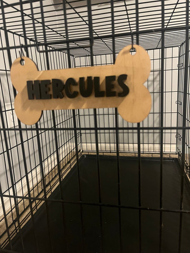 Personalized Crate Sign, Custom Dog Decor, Hanging Crate Sign, Custom ...