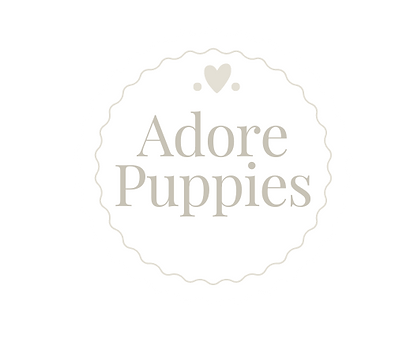 NEW PUPPY INFO | ADORE PUPPIES