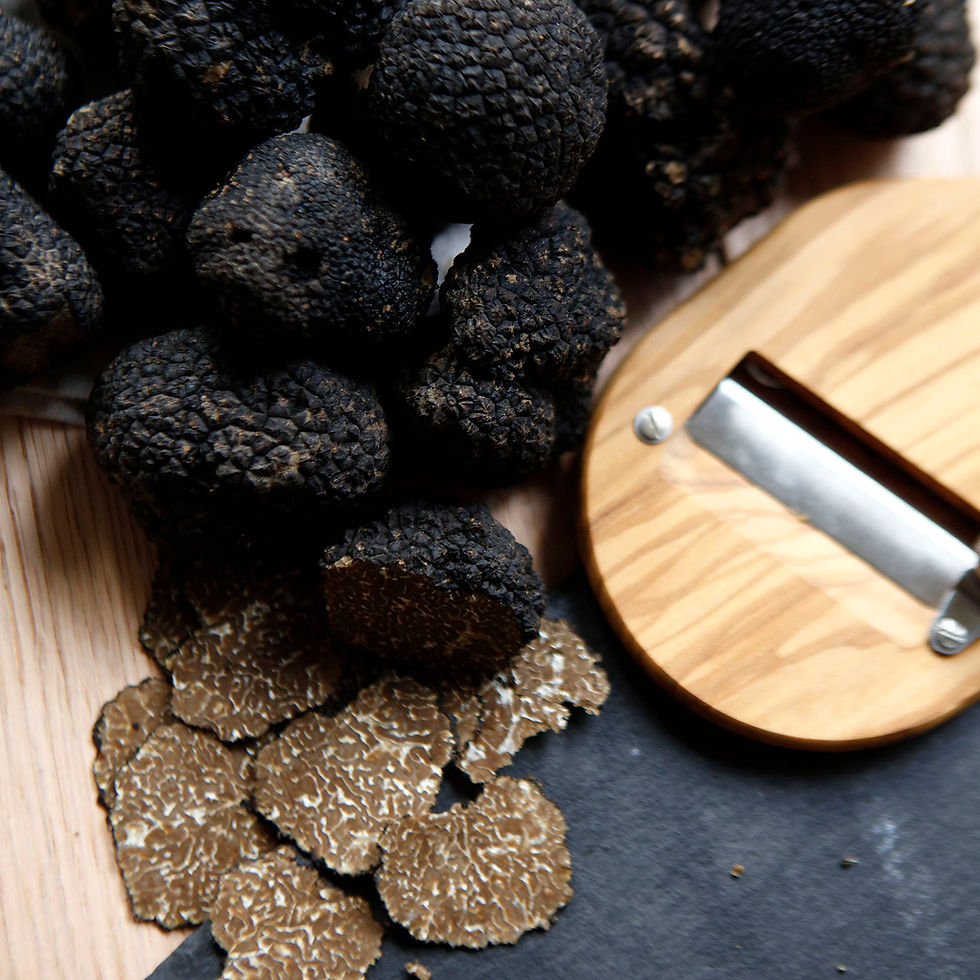 Truffles USA - Fresh Italian Truffles