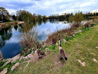 Home | Telford Angling Association