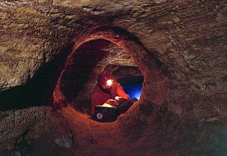 Movile Cave - a unique ecosystem