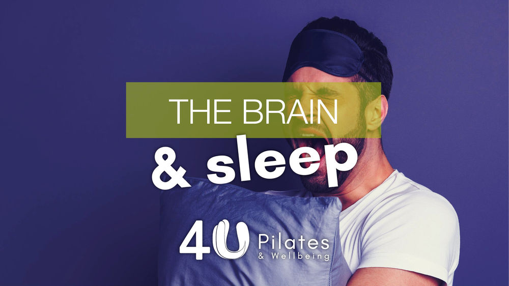 How does the brain know to sleep?