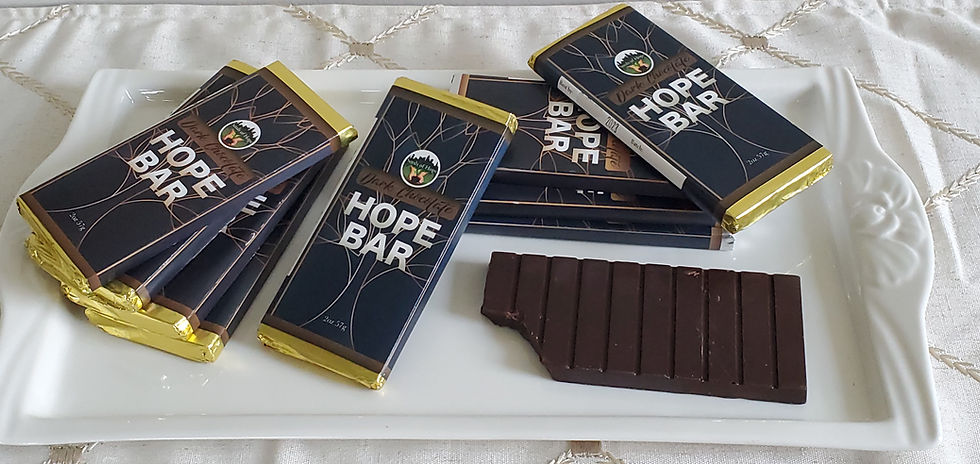 Hope Bar Dark Chocolate 10 pack | Hope Chocolates