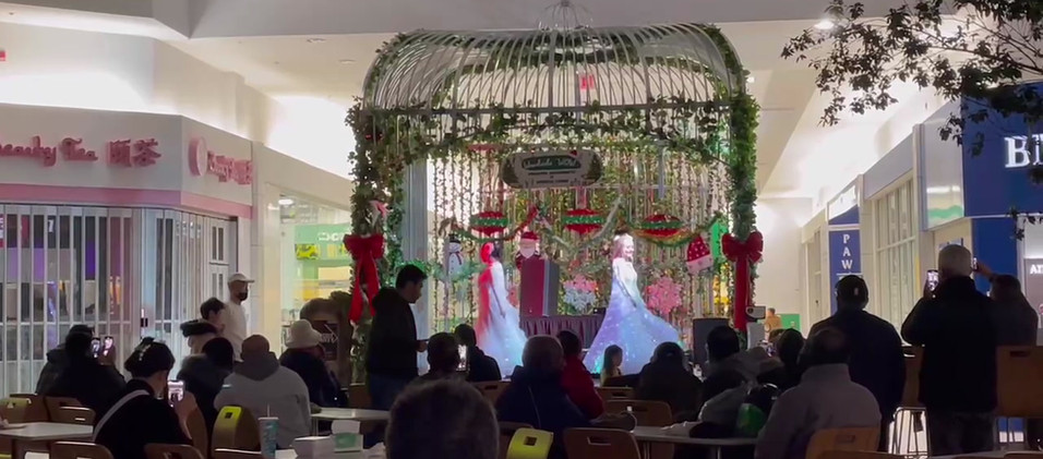 WOODSIDE 2 PM | WOODSIDE SQUARE MALL