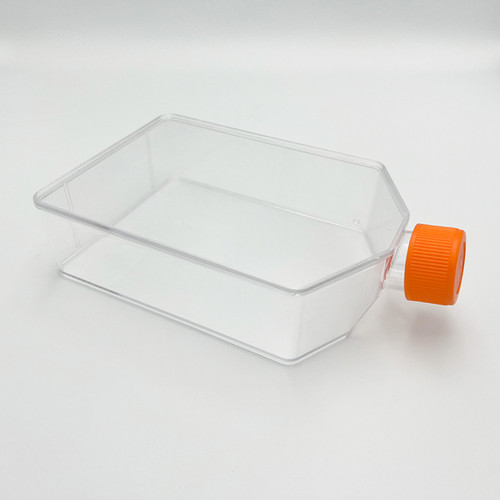 T175 Cell Culture Flask, PS, Vented, with filter, TC Treated ...