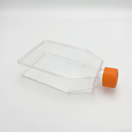 T75 Cell Culture Flask, PS, Vented, with filter, TC Treated, Sterilized ...