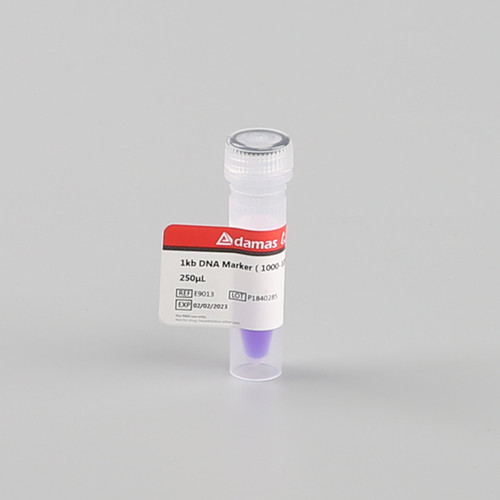 1kb DNA Marker (1000-10000bp), 250μL | Labware E-shop
