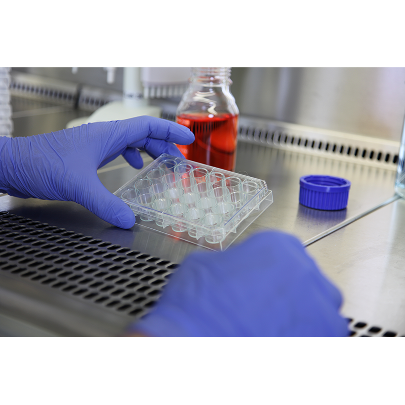 The Next Generation of 3D Cell Cultivation Plate from heidolph