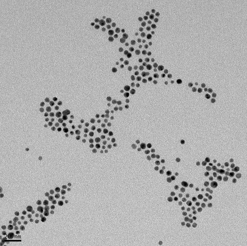 Colloidal Palladium Nanoparticles Solution | Labware E-shop