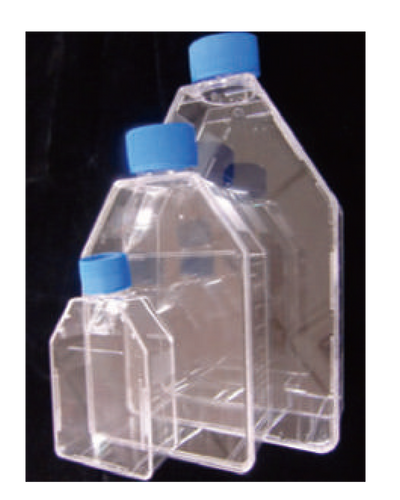 Fisher Scientific™ LabServ Tissue Culture Flask | Labware Group