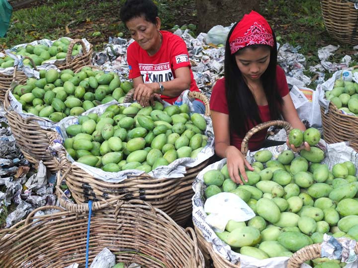 Rights and Obligations Of Usufructuary