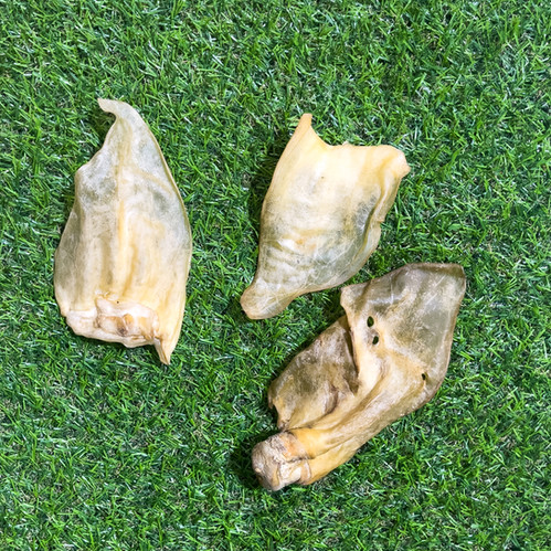 COW EAR | Charismatic Pets