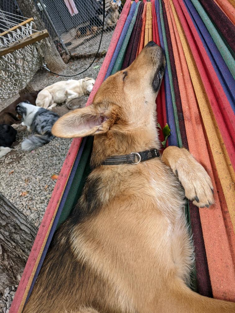 7 Reasons as to Why Sleep Matters