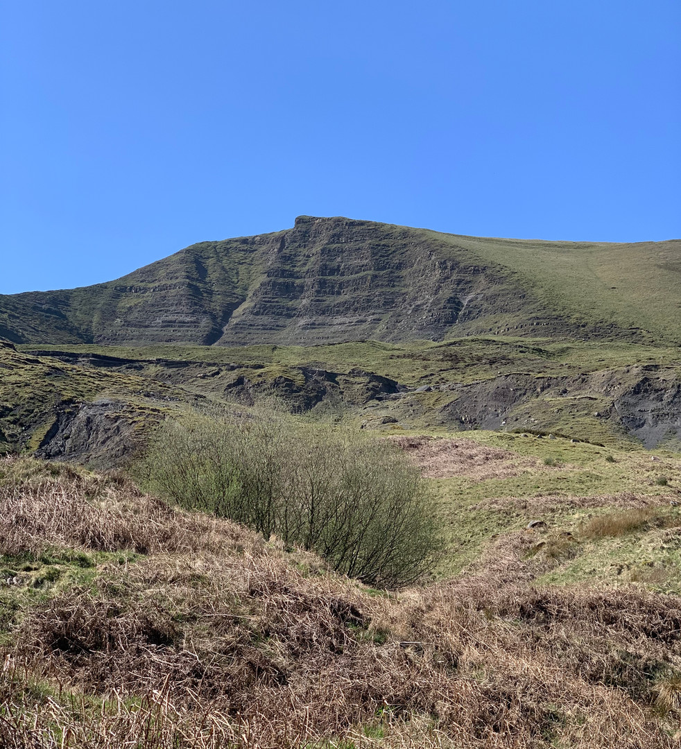 The George Castleton, Traditional British Pub - Beer, Food & Accommadation.