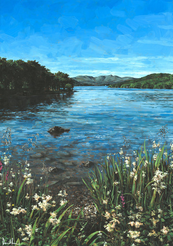 Wildflowers and Windermere | David Raine Art