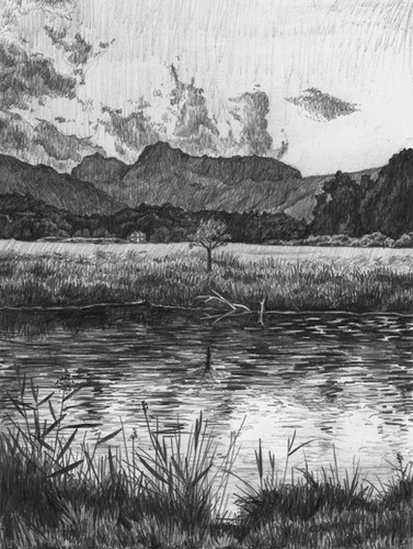 The River Brathay and the Langdales | David Raine Art