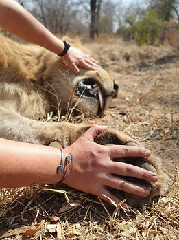 GALLERY | Down2theWire