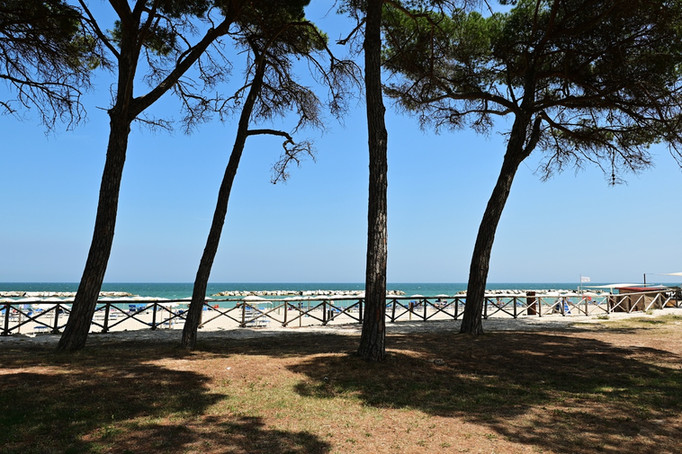 Pineta Beach | Spiaggia e Ristorante | Porto Recanati, Marche