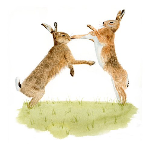 Boxing Hares Print | Alan Taylor Art