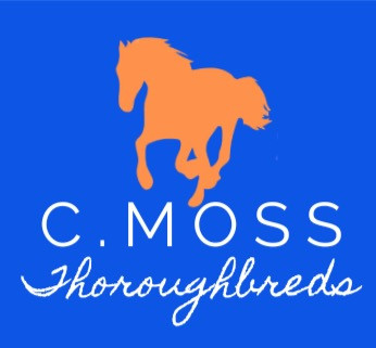 Discover The Farm | Chelsea Moss Equine