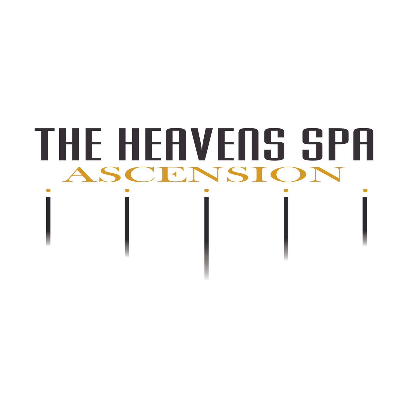 The Heavens Spa | Full Service Spa | 1400 Mercantile Ln suite 160 ...