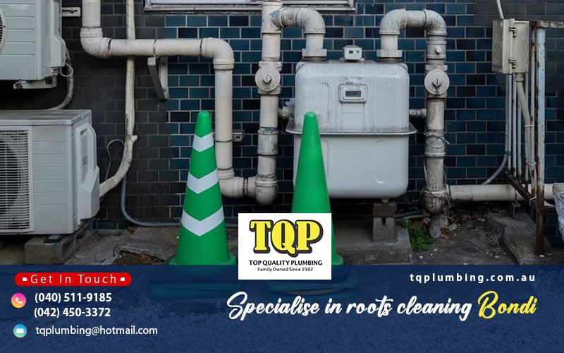 How to Prevent Roots from Growing Into Pipes