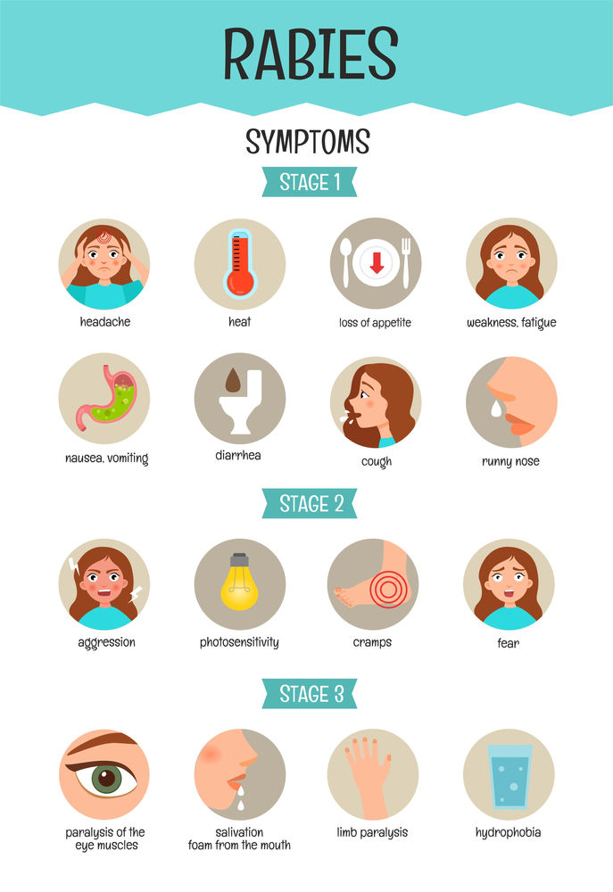 Why is Rabies Disease important?