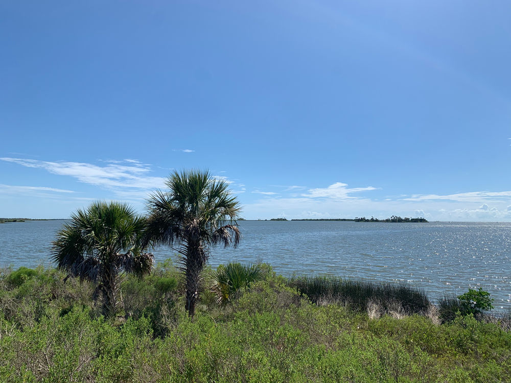 Biking the Withlacoochee Bay Trail
