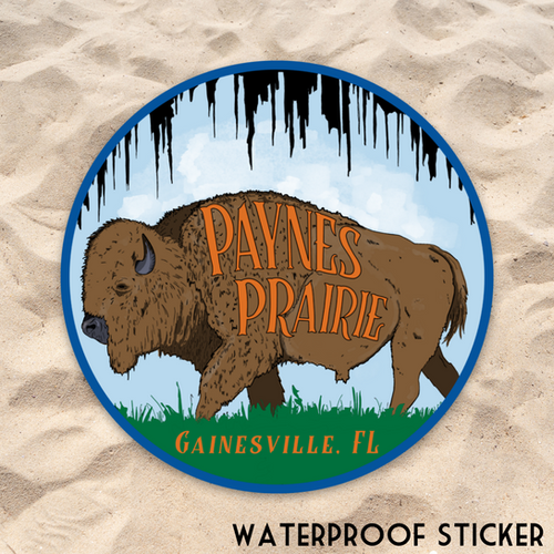 Paynes Prairie Buffalo Sticker | Old Florida Vibes