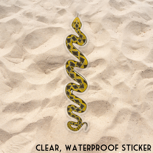 Clear Snake Sticker | Old Florida Vibes
