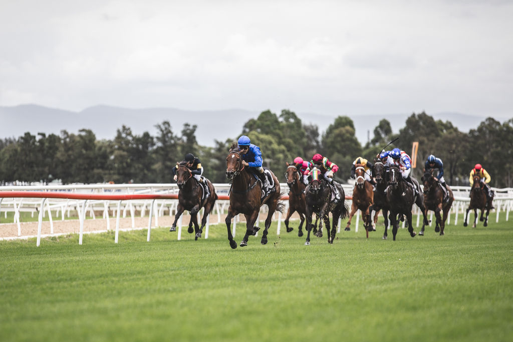 HOME | Hawkesbury Race Club