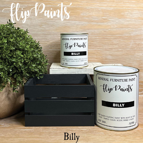 Flip Paints Billy | Flip Paints