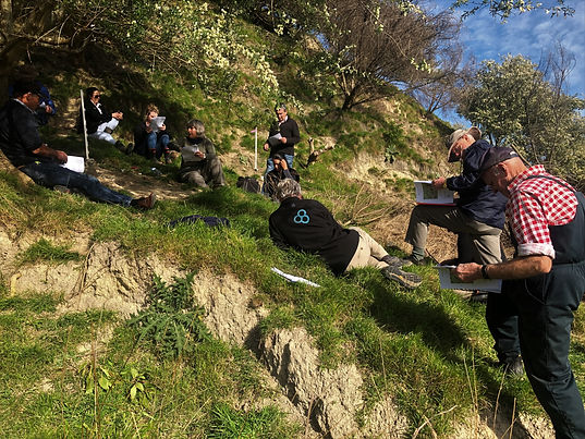 Important Documents | Hill Country Tagasaste Management Group