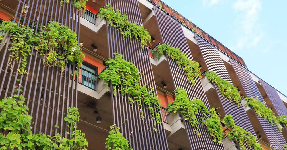 How LEED Solar Supports Green Building Certification