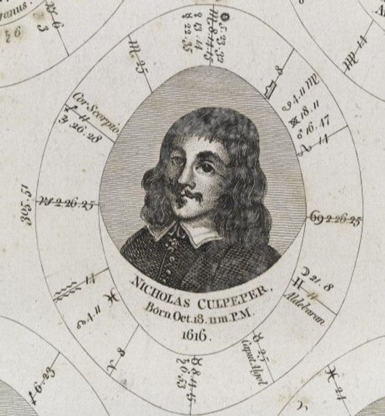 COMO DETERMINAR SE A DOENÇA RESIDE NA MENTE OU NO CORPO, por Nicholas ...