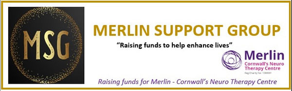 Home | Merlin Support Group